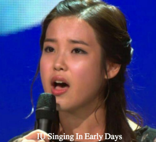 IU Plastic Surgery Before and After Photos - Latest Plastic Surgery ...